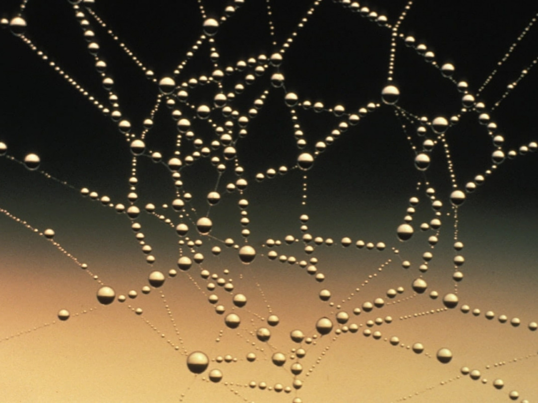 How Velir Uses Machine Learning Apis With Sitecore Velir
