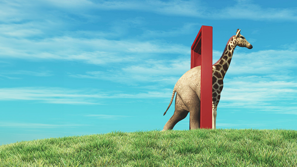 Velir: A Data-Driven Digital Marketing Agency | Velir