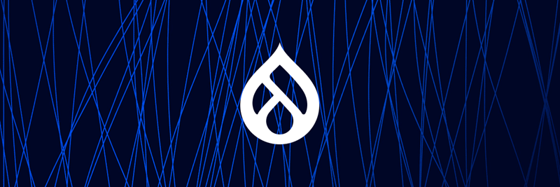 Building a Headless Next.js Site with Drupal 11 and Layout Builder | Velir