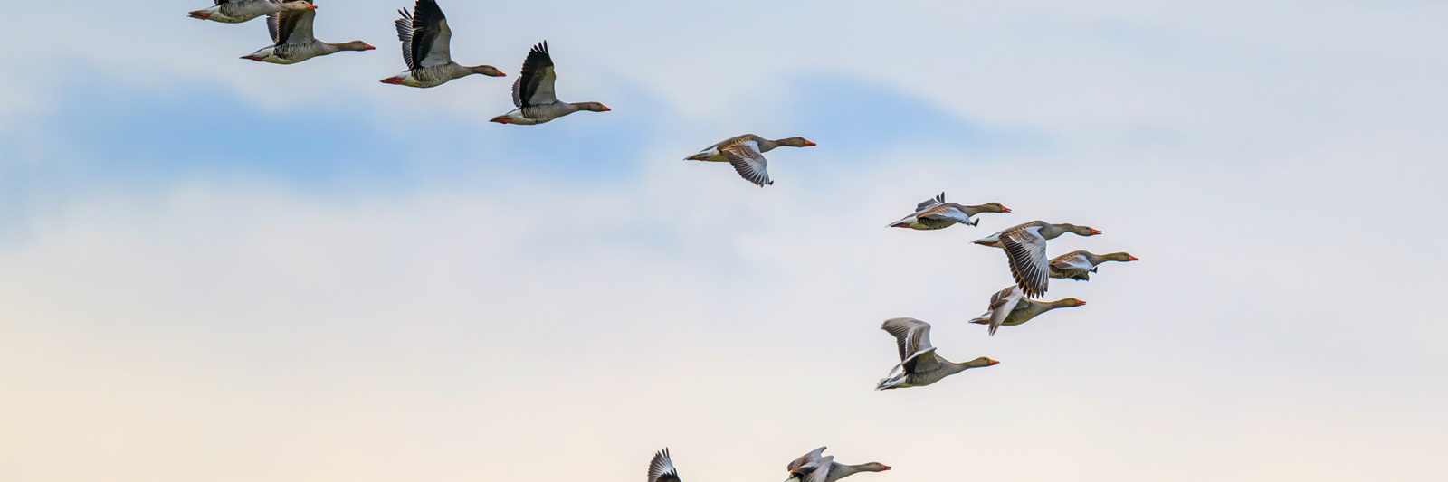 Sitecore, Supercharged: Migrate to XM Cloud with Confidence | Velir