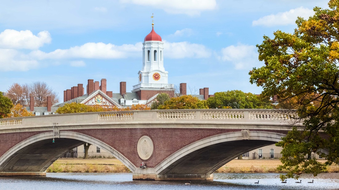 Creating Culture of Use for Harvard Library | Velir