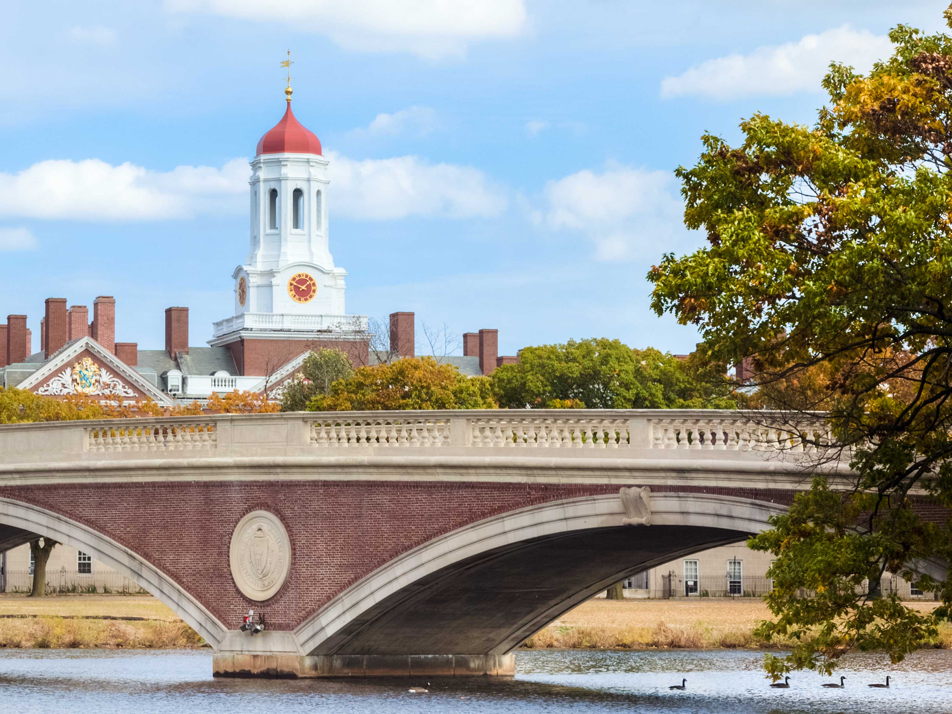 Creating Culture of Use for Harvard Library | Velir