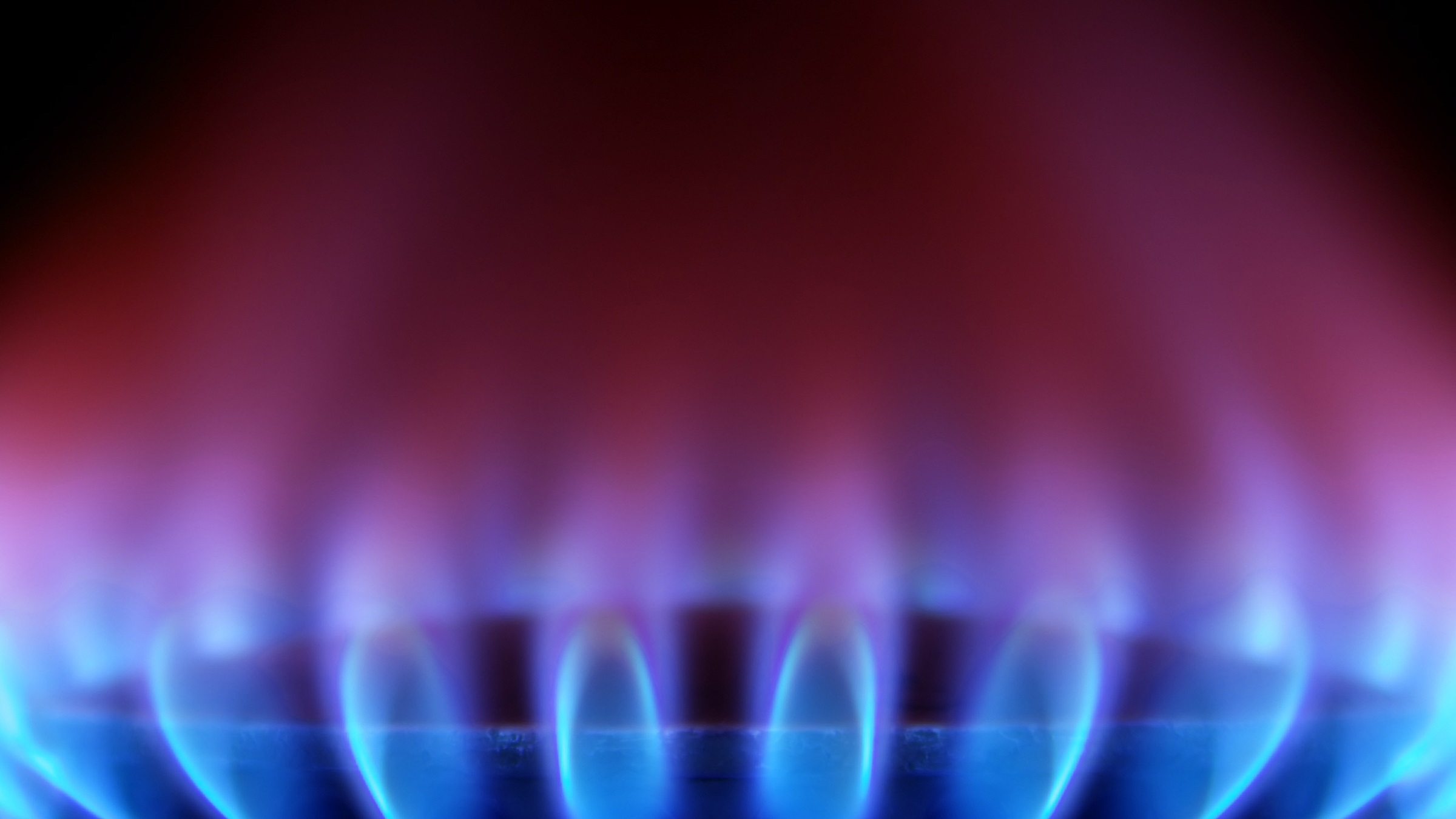 Leveraging Hyperlocal Search to Increase Reach | Velir