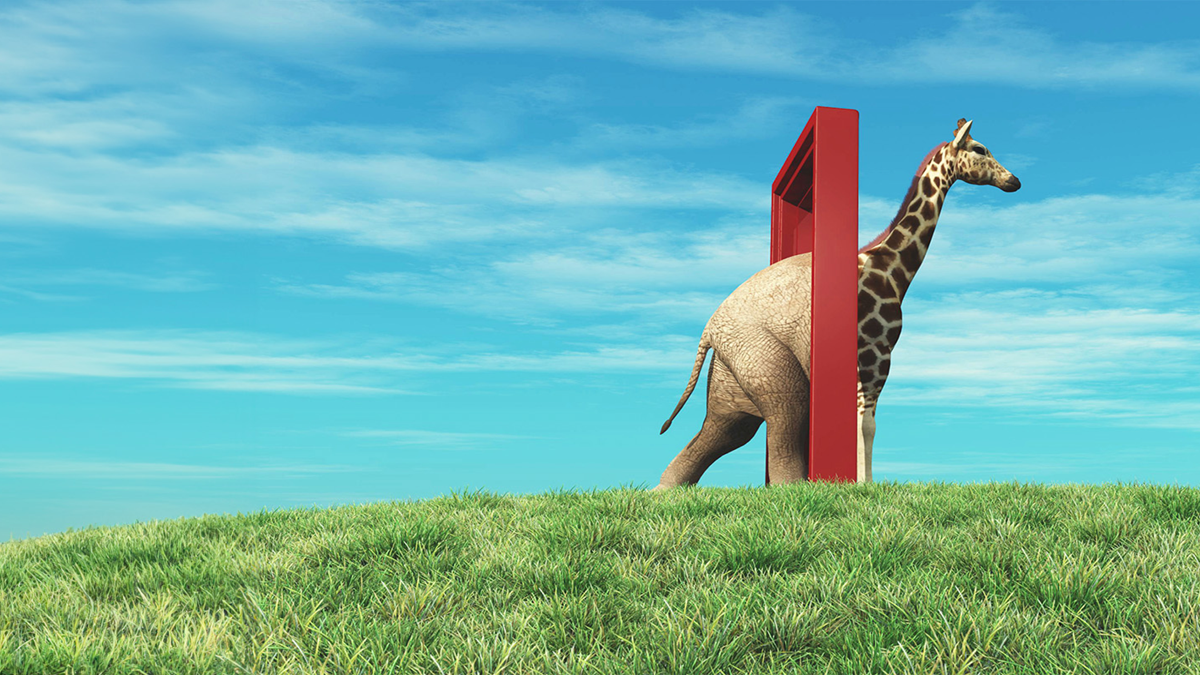 Velir: A Data-Driven Digital Marketing Agency | Velir