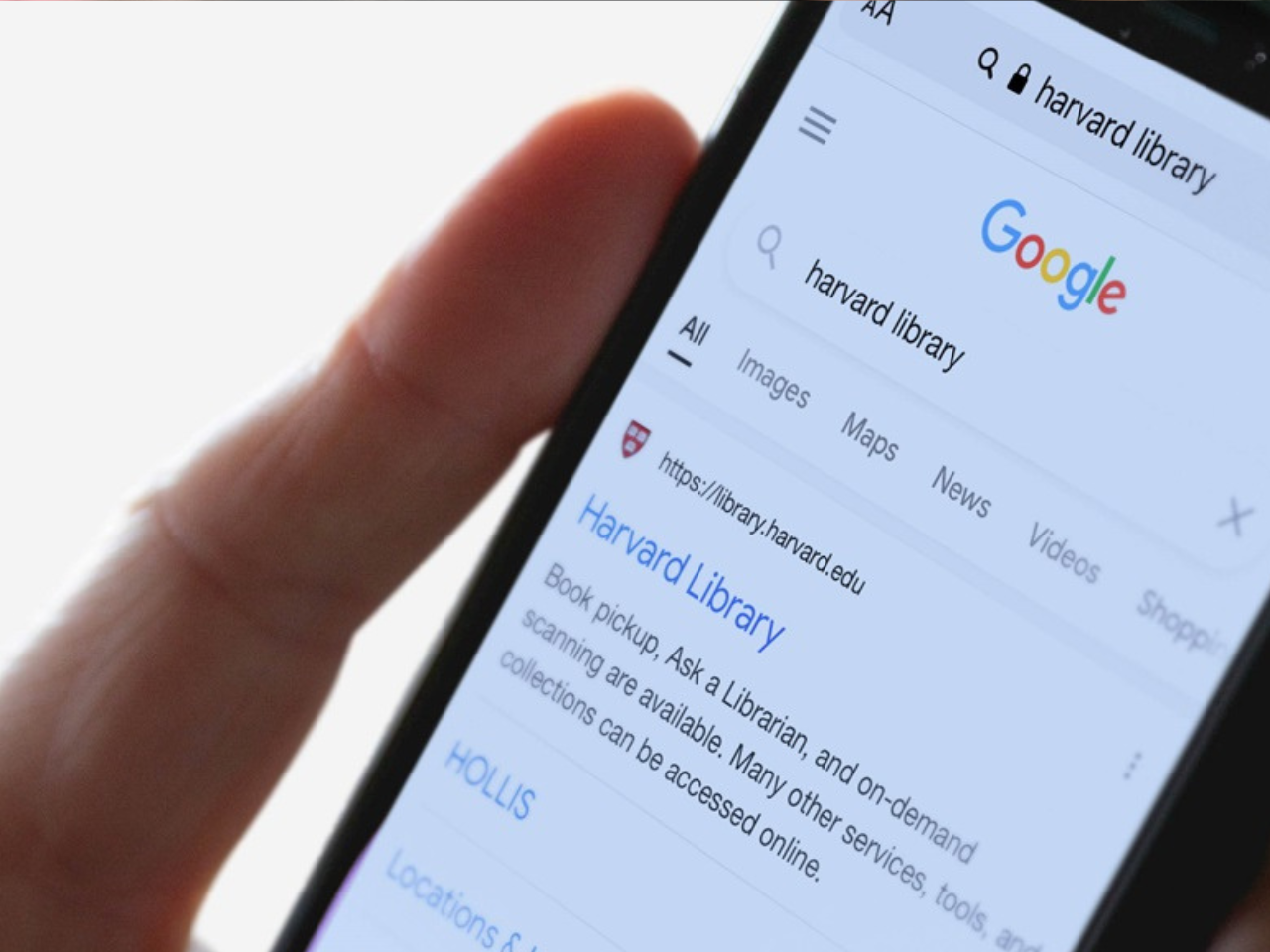 Search Engine Optimization: Get Ahead in Search | Velir