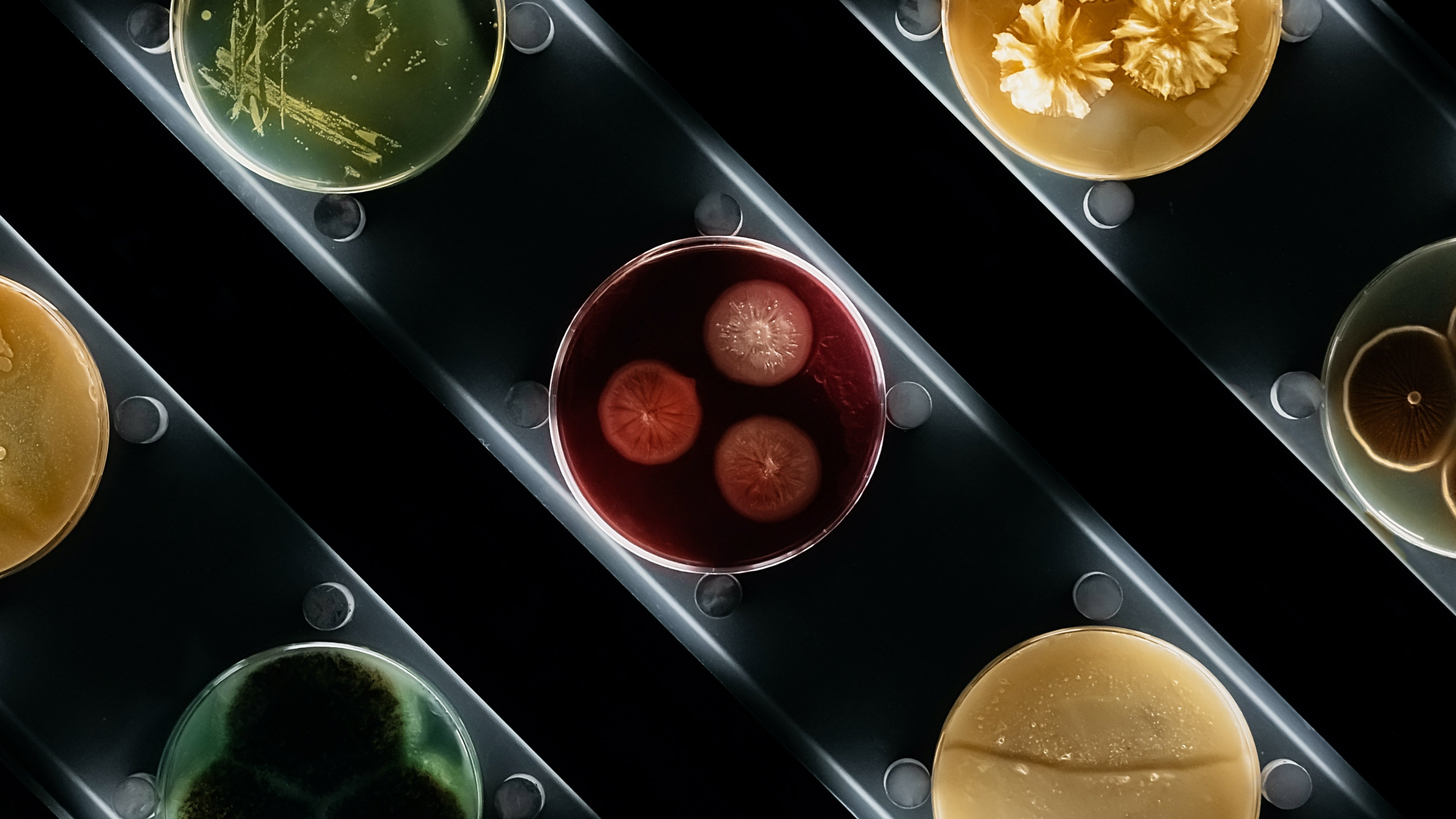 Helping Healthcare Groups with Digital Marketing | Velir